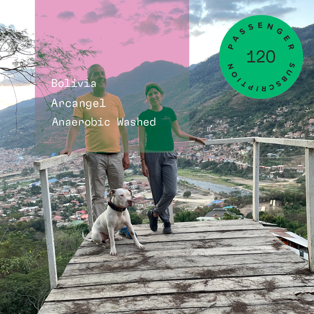 Arcangel – Ozone Coffee