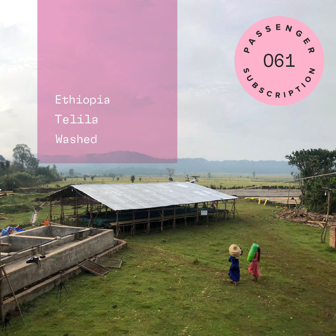 Telila Washed – Ozone Coffee UK