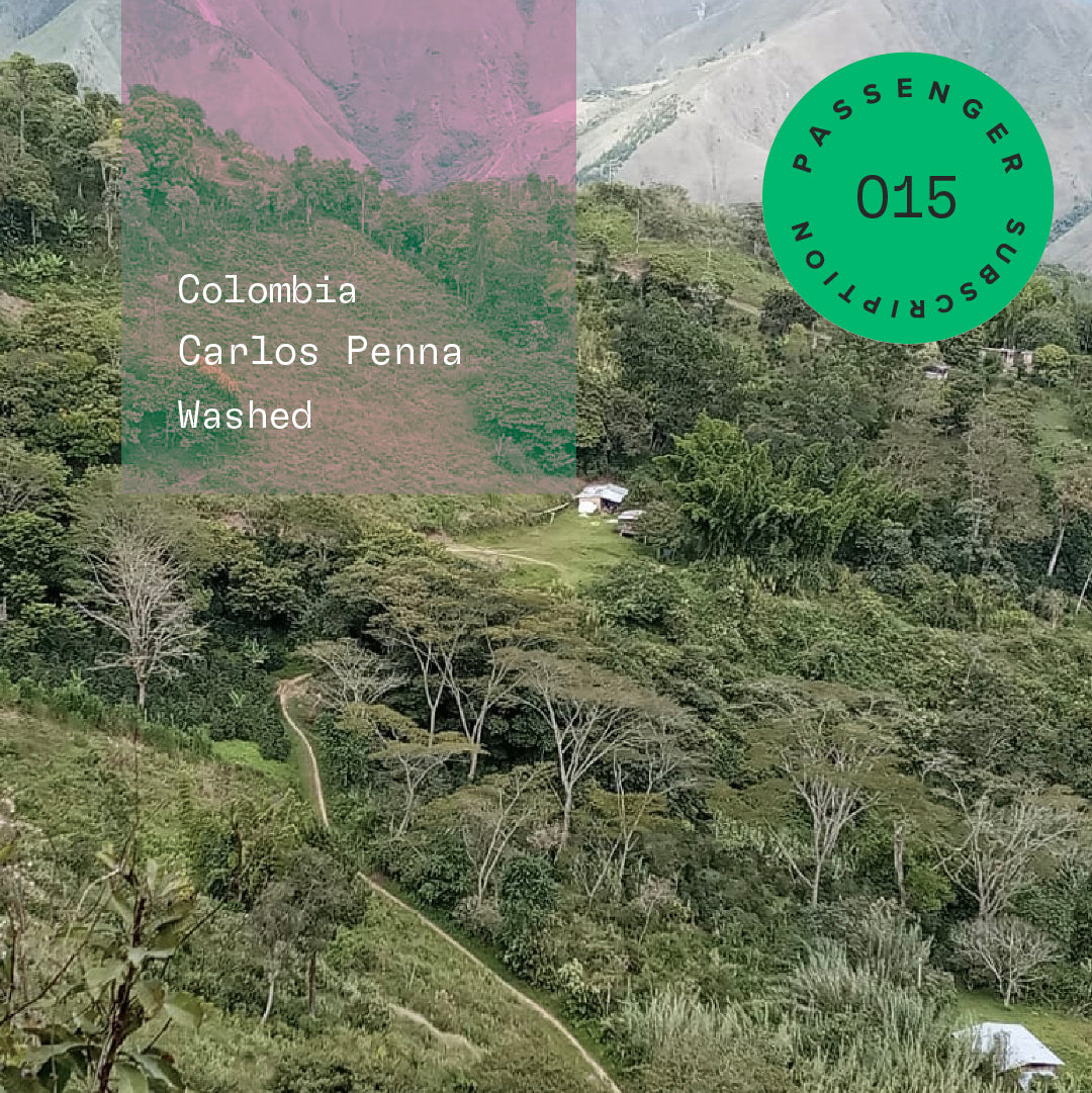 Carlos Penna – Ozone Coffee