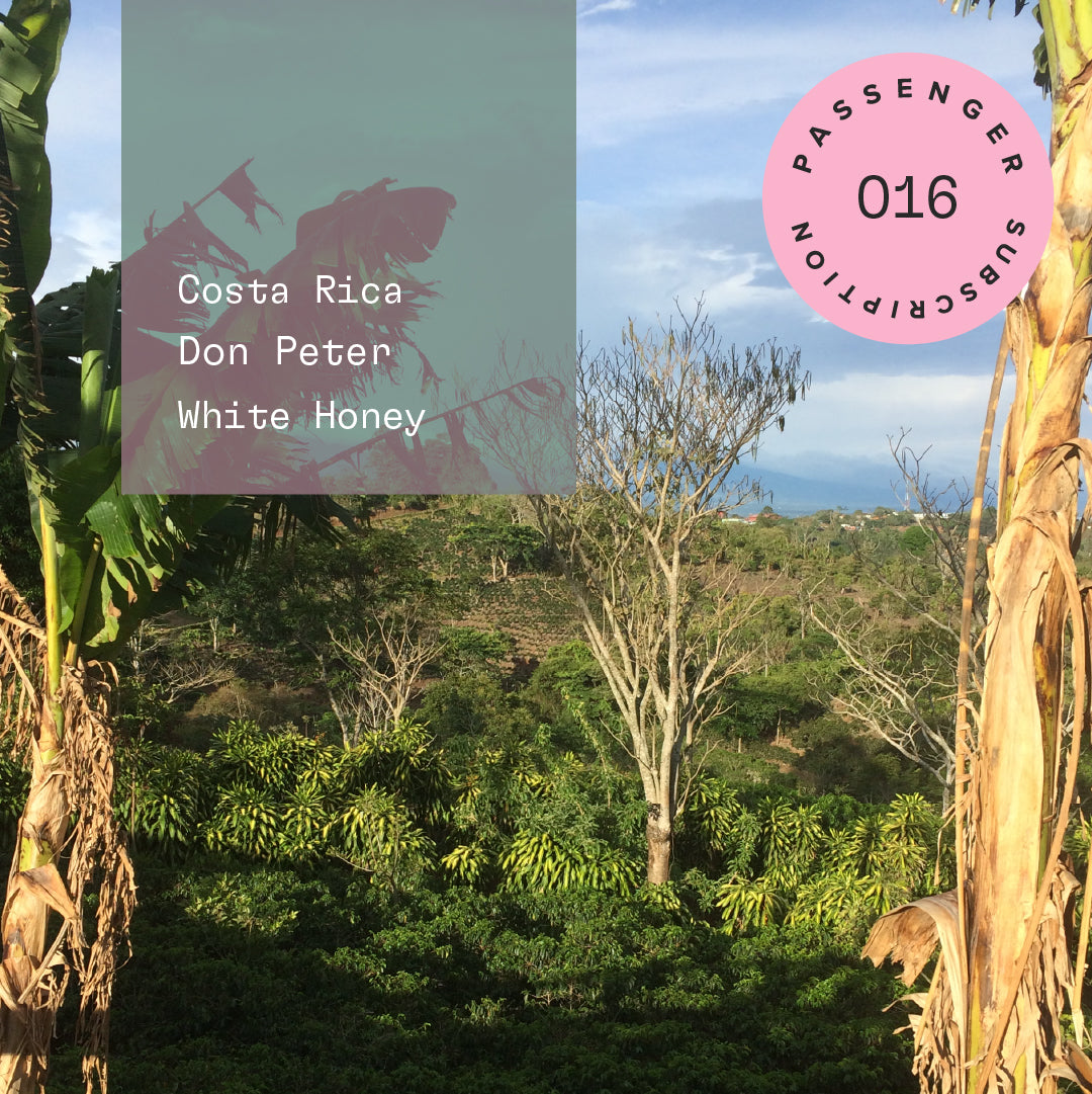 Don Peter – Ozone Coffee
