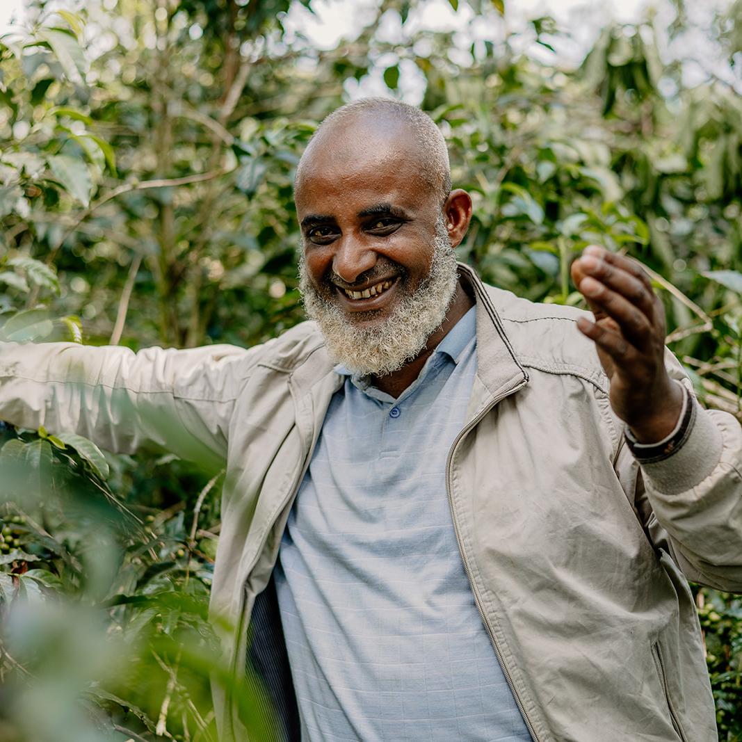 889 Ethiopia: Mensur Abahika, Washed – Ozone Coffee