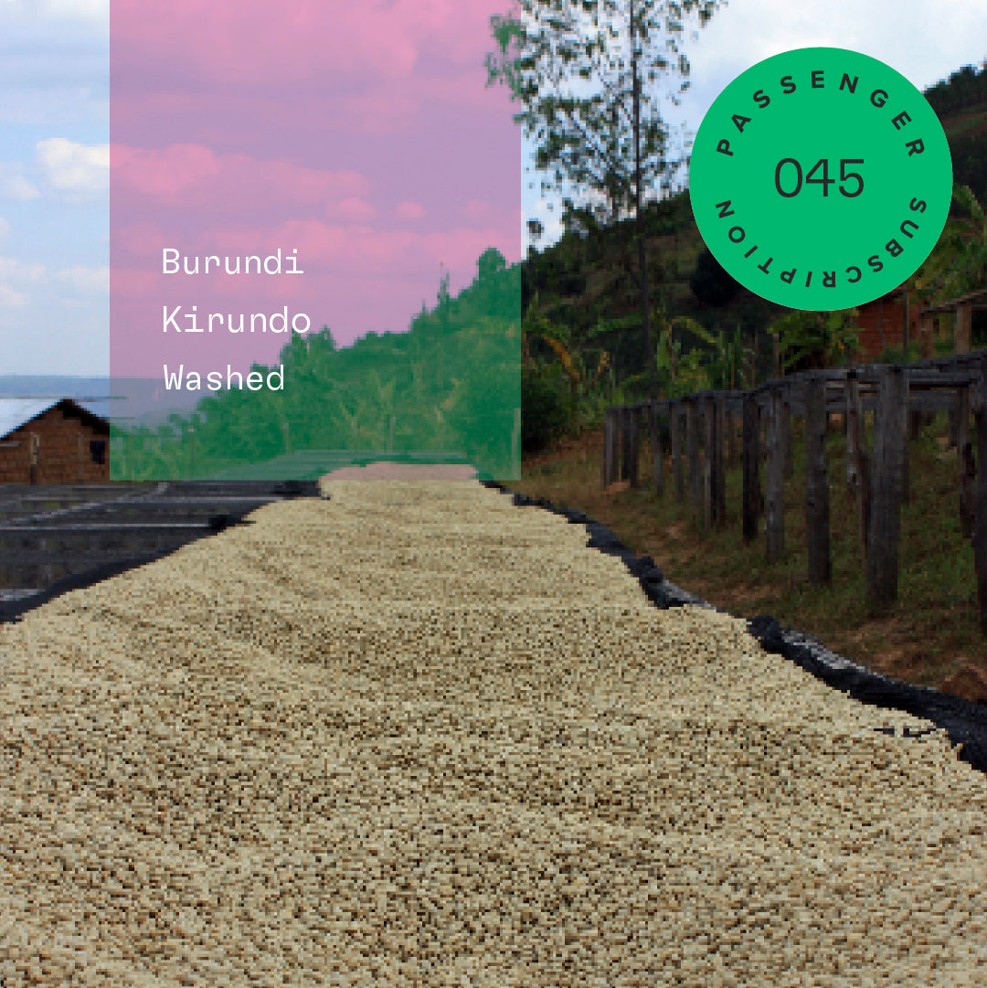 Kirundo Washed – Ozone Coffee