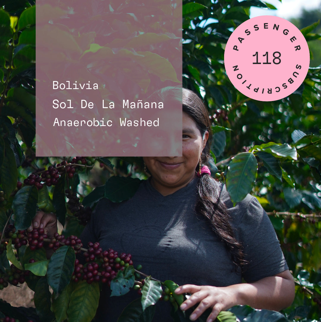Sol De La Mañana – Ozone Coffee