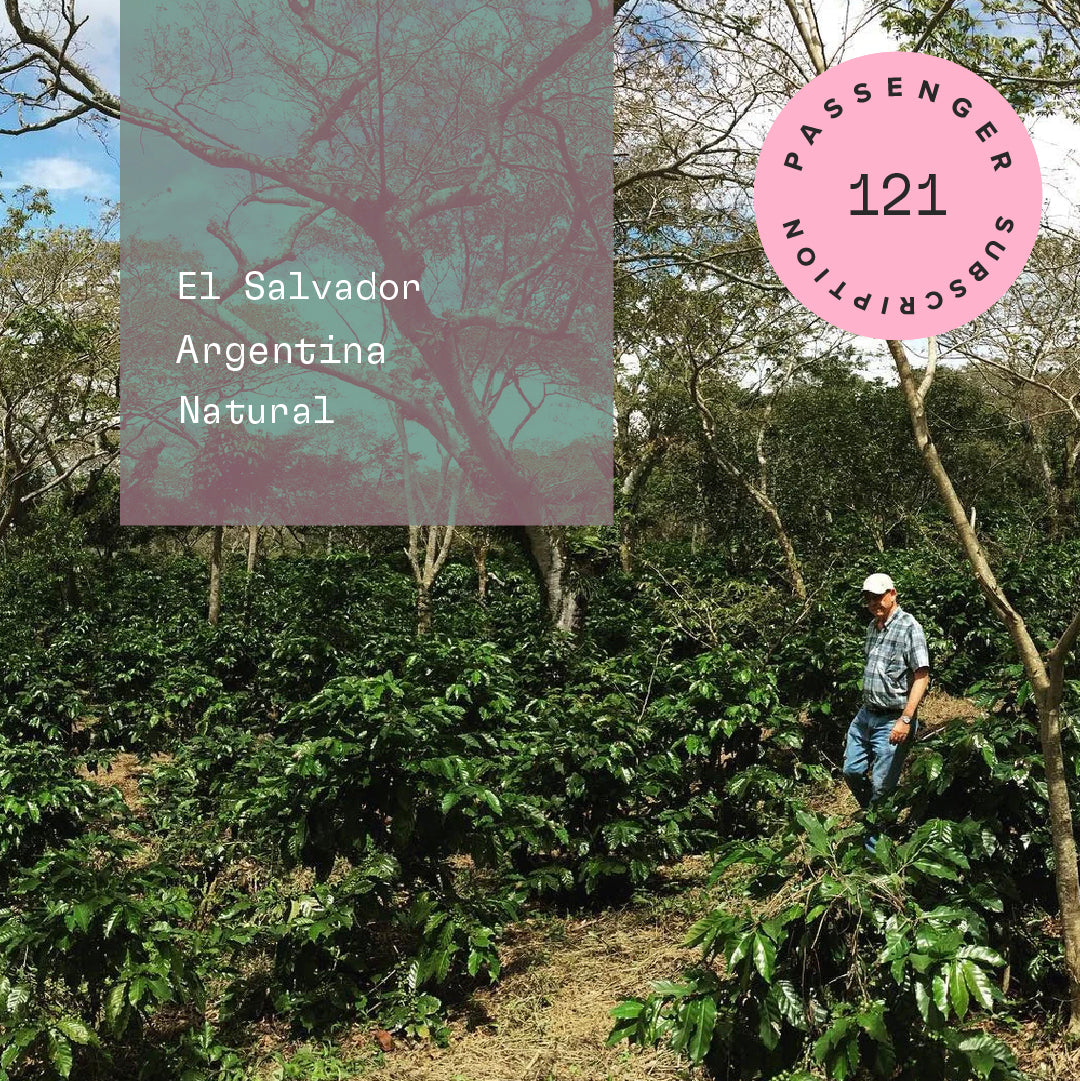Argentina – Ozone Coffee
