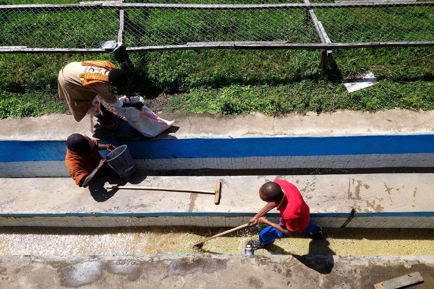 Ozone: Specialty coffee, roasted to order. – Ozone Coffee