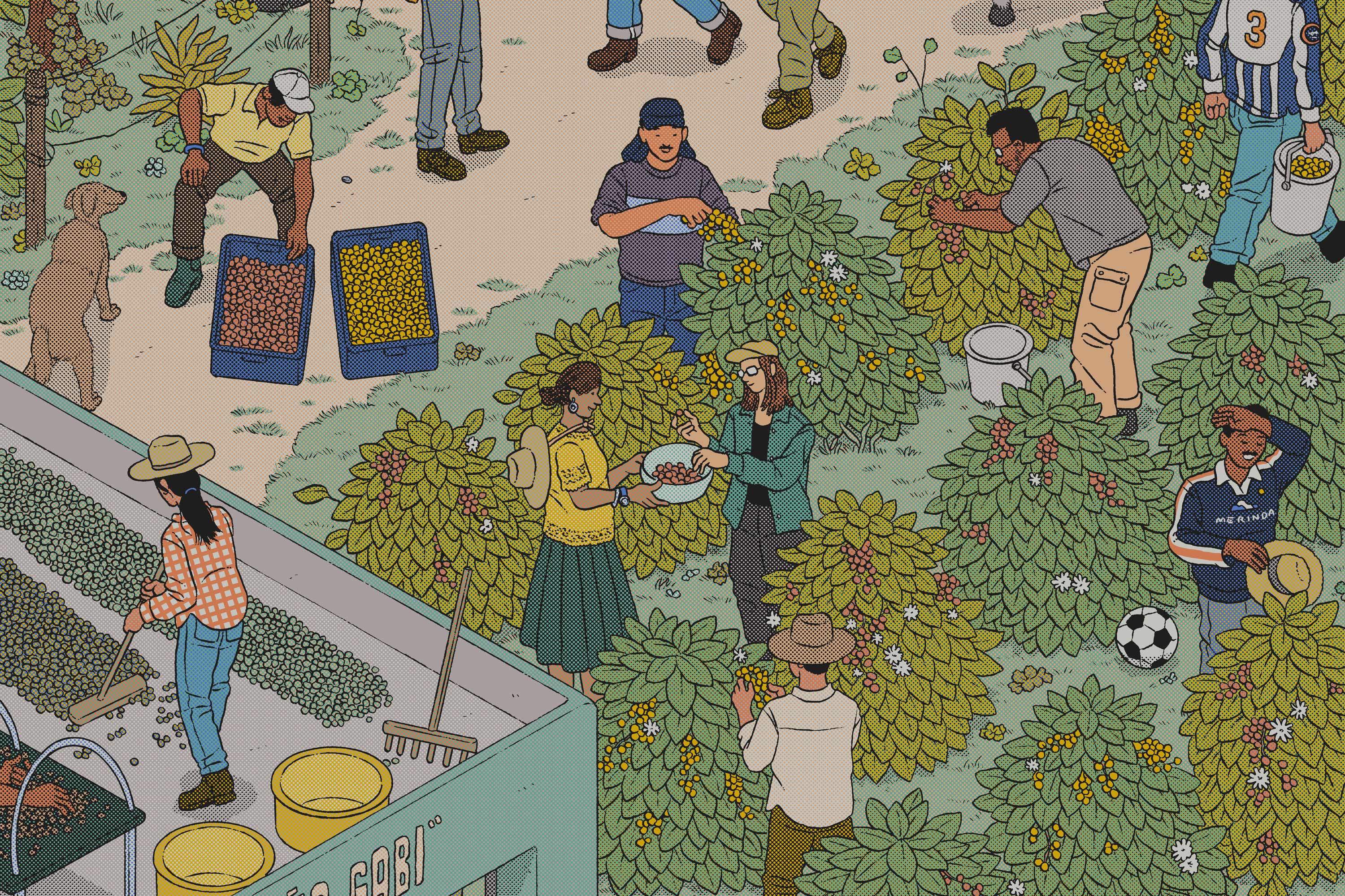 Specialty Coffee Wholesale UK | Ozone Coffee Roasters